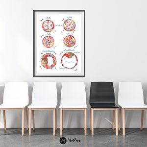 Embryogenesis Watercolor Print Medical Art Embryonic Development ...