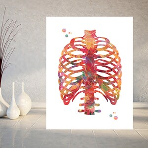 Rib Cage Watercolor Print Anatomy Art Thorax Poster Medical Art ...