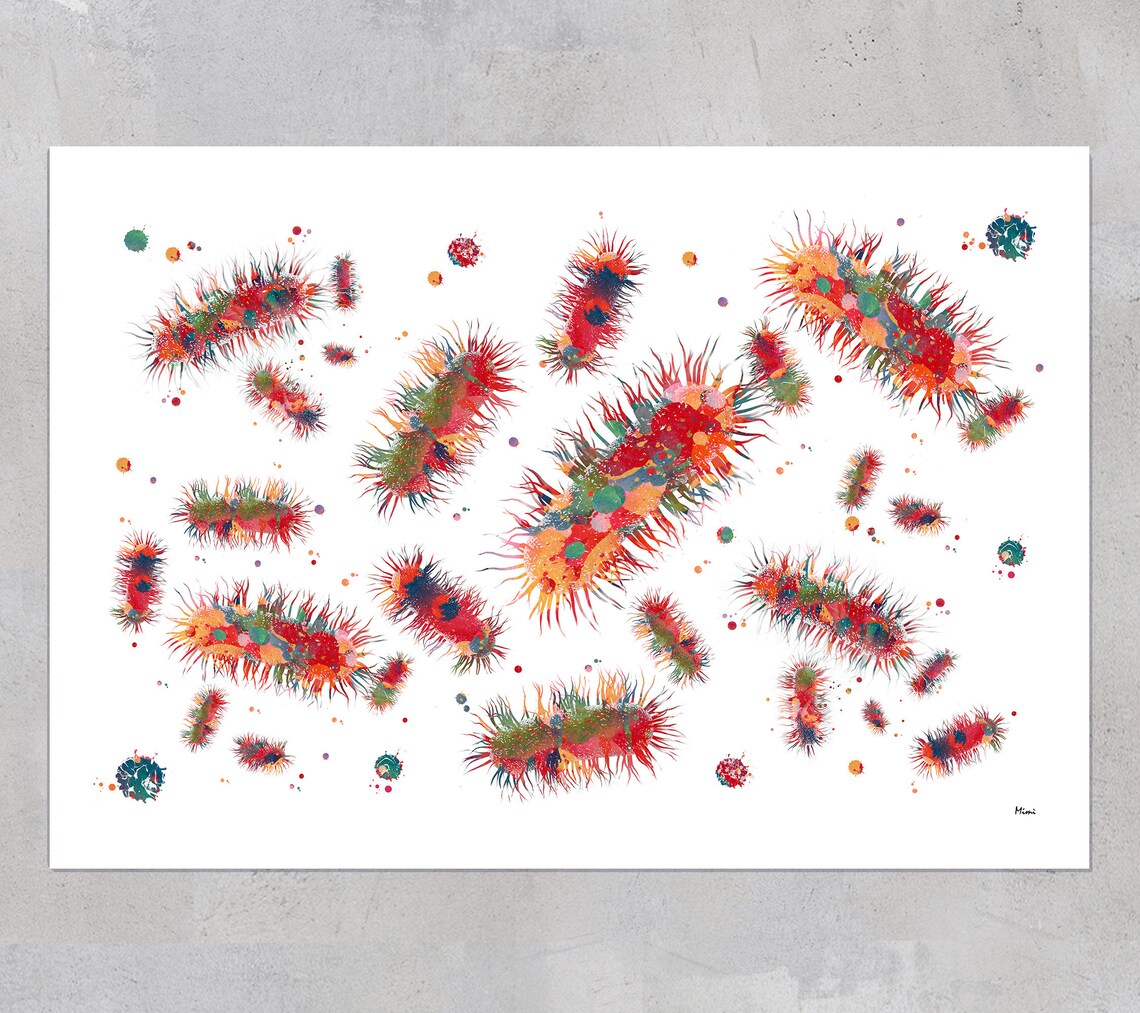 Escherichia Coli Science Art Print Bacteria Watercolor Poster | Etsy