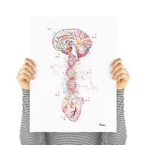 Brain Heart Print Abstract Science Art DNA Brain Heart Watercolor Print ...