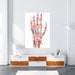 Hand Bones Anatomy Art Print Radiocarpal Joint Poster Wrist Joint ...