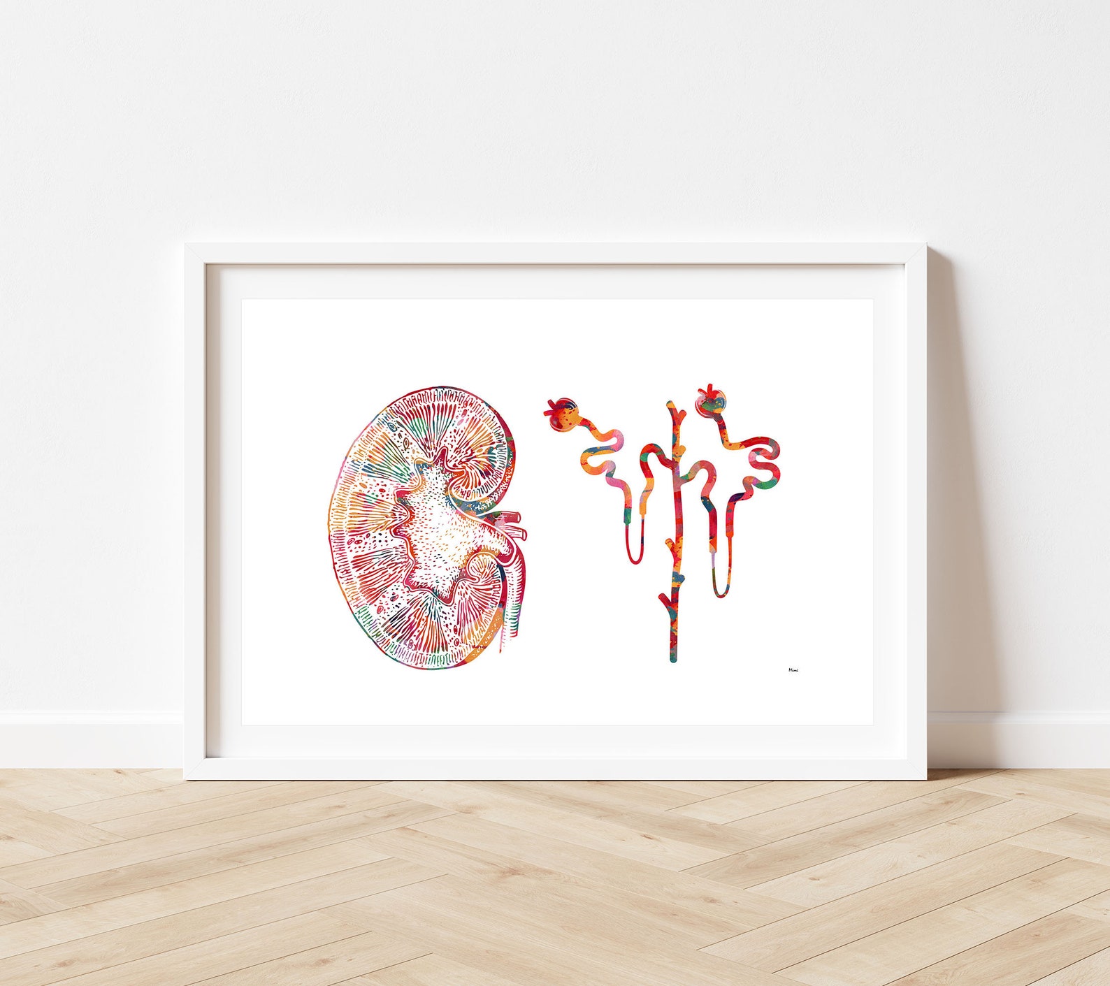 Kidney Watercolor Print Human Anatomy Kidney Poster Urology Nephron and ...