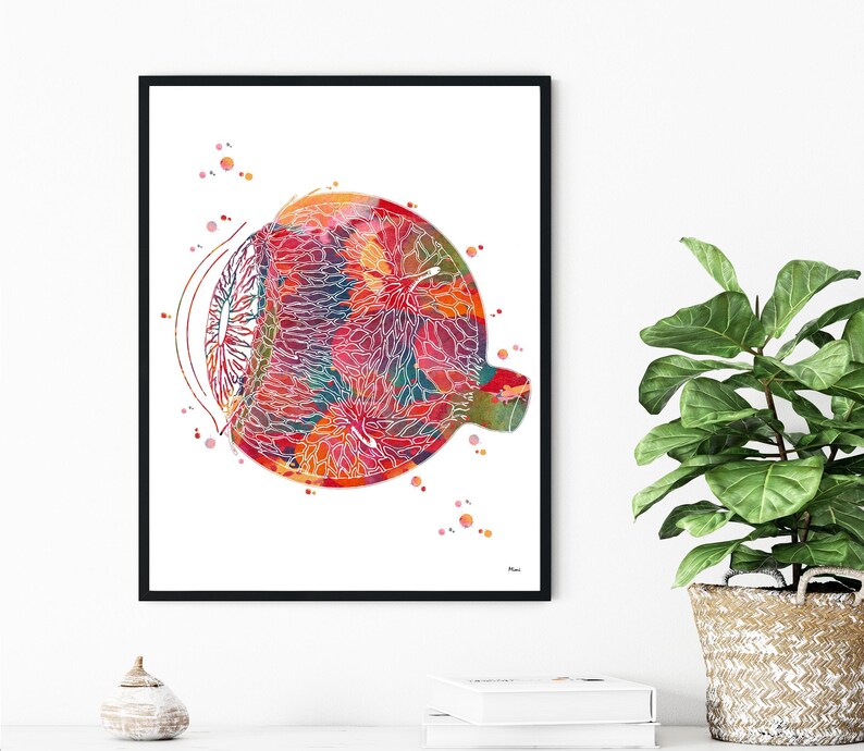 Choroid Vessels Scheme Print Eye Anatomy Watercolor Vascular Anatomy of ...