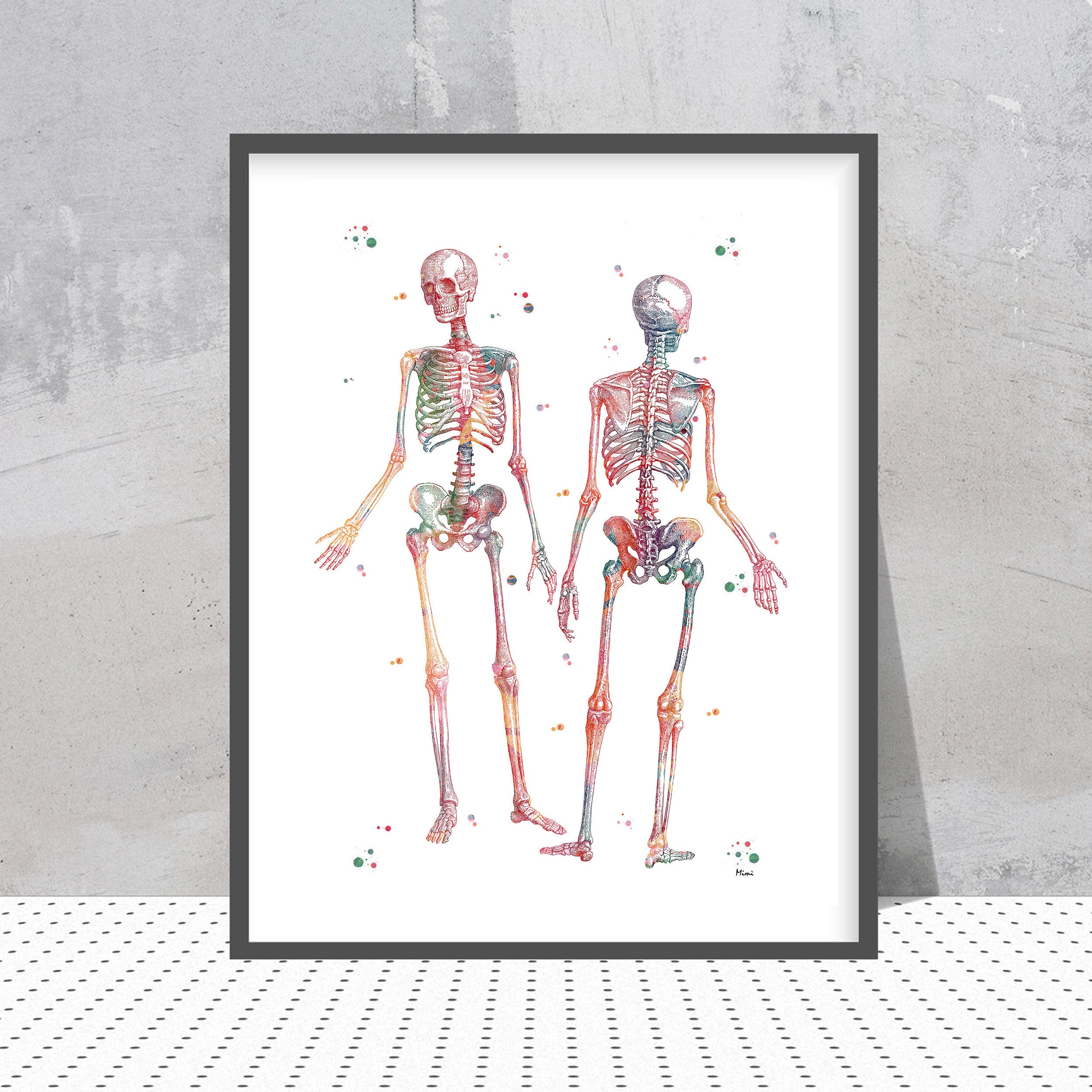 Human Skeleton Watercolor Print Skeletal System Poster Anatomy - Etsy