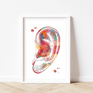 Audiology Art Print Ear Watercolor Anatomy Art Outer Ear Illustration ...