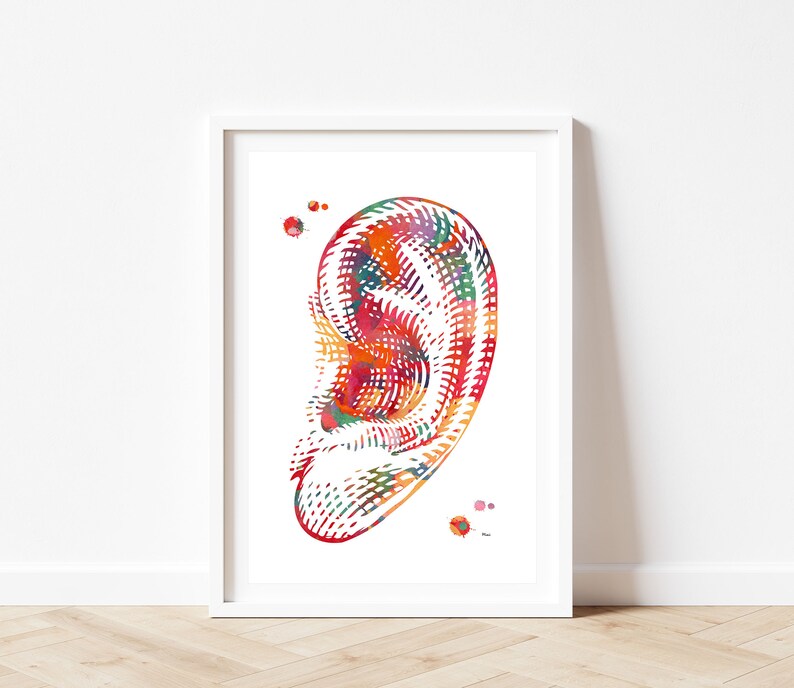 Audiology Art Print Ear Watercolor Anatomy Art Outer Ear Illustration ...