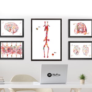 Aorta Watercolor Print Abstract Anatomy Schematic Illustration Blood ...