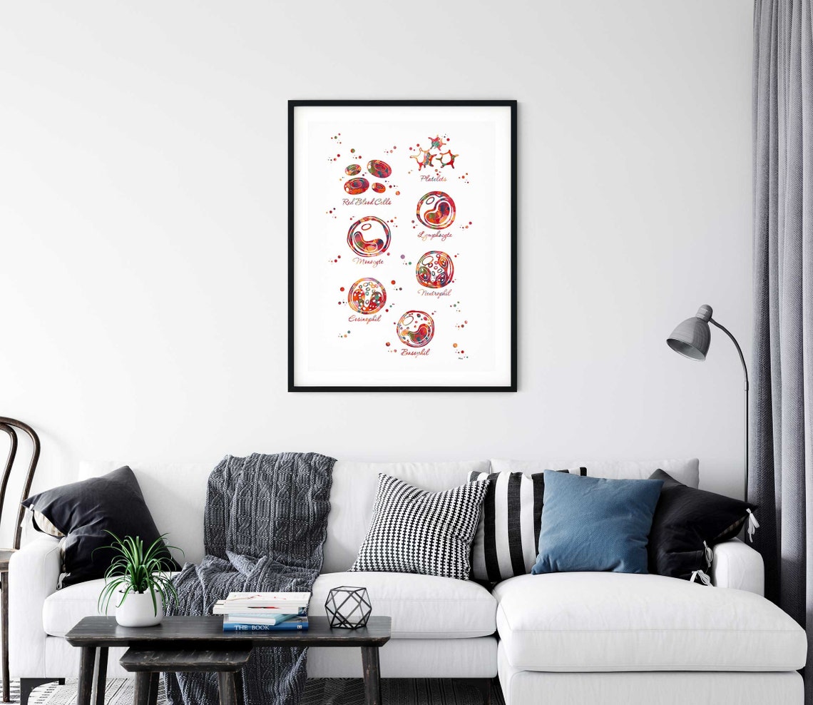 Blood Cells Anatomy Watercolor Print Hematology Poster Red - Etsy