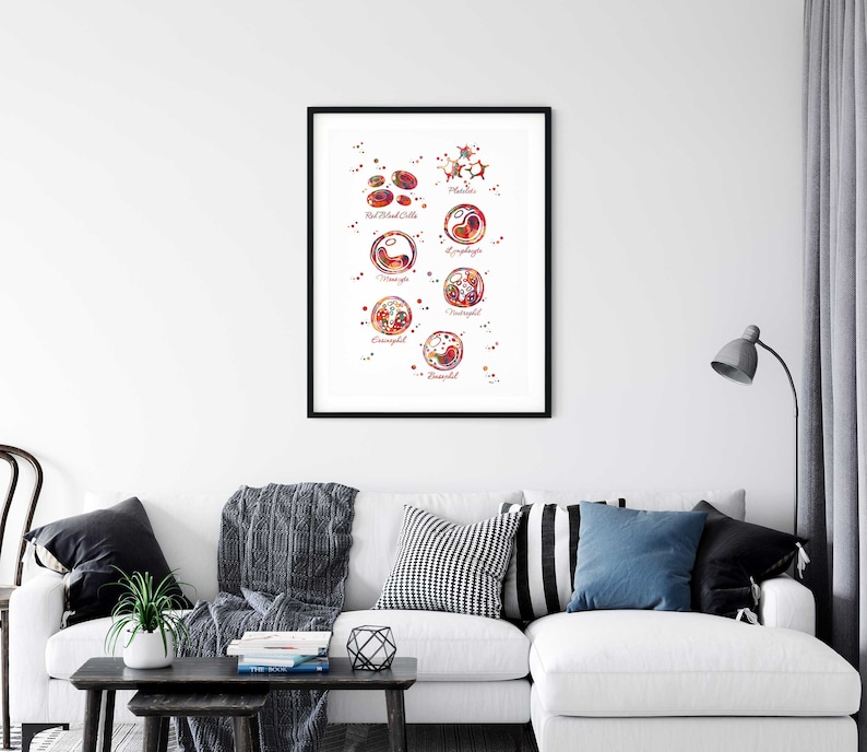 Blood Cells Anatomy Watercolor Print Hematology Poster Red Blood Cells ...