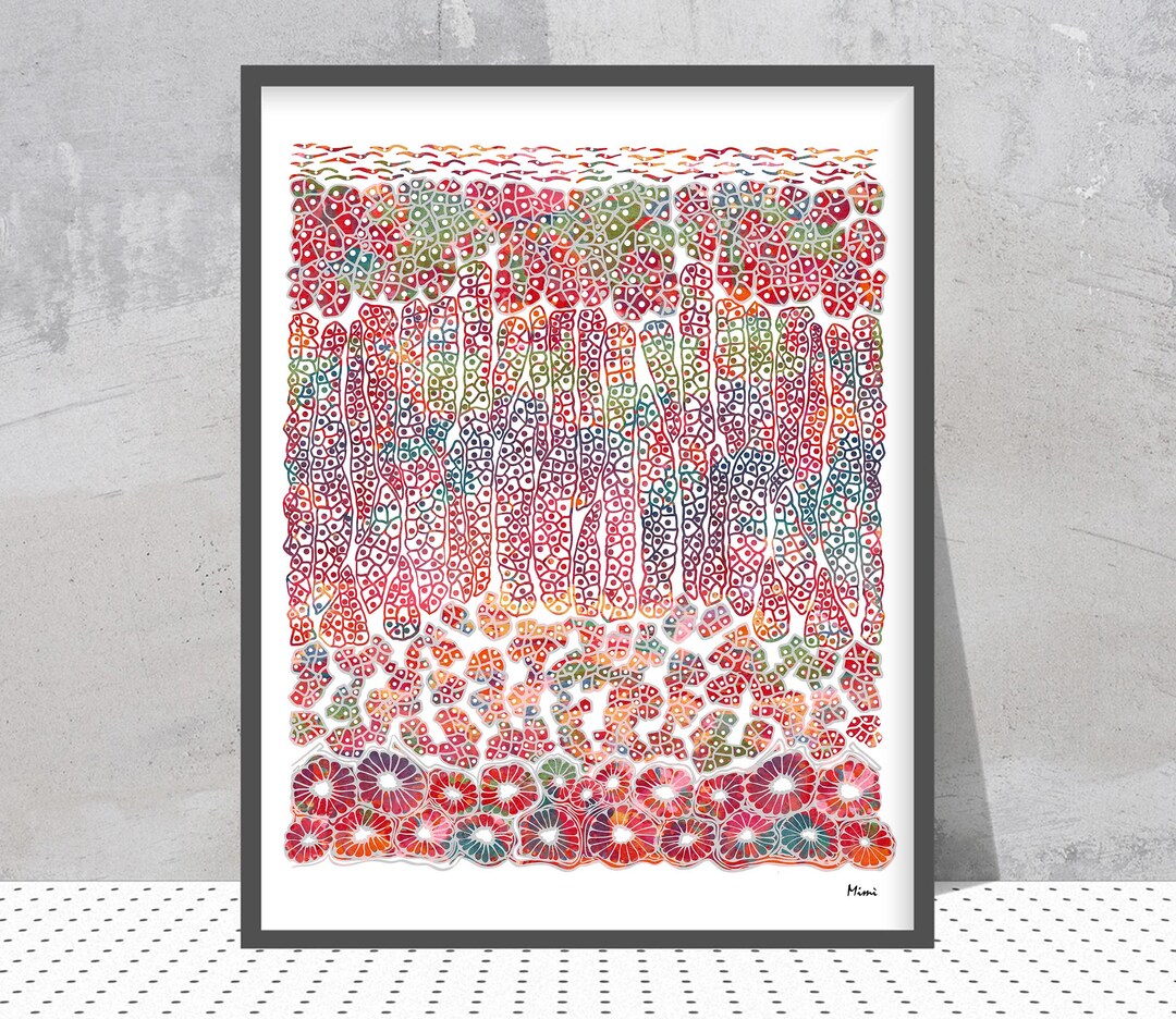 Adrenal Gland Tissue Print Endocrine System Painting Endocrinology Art ...