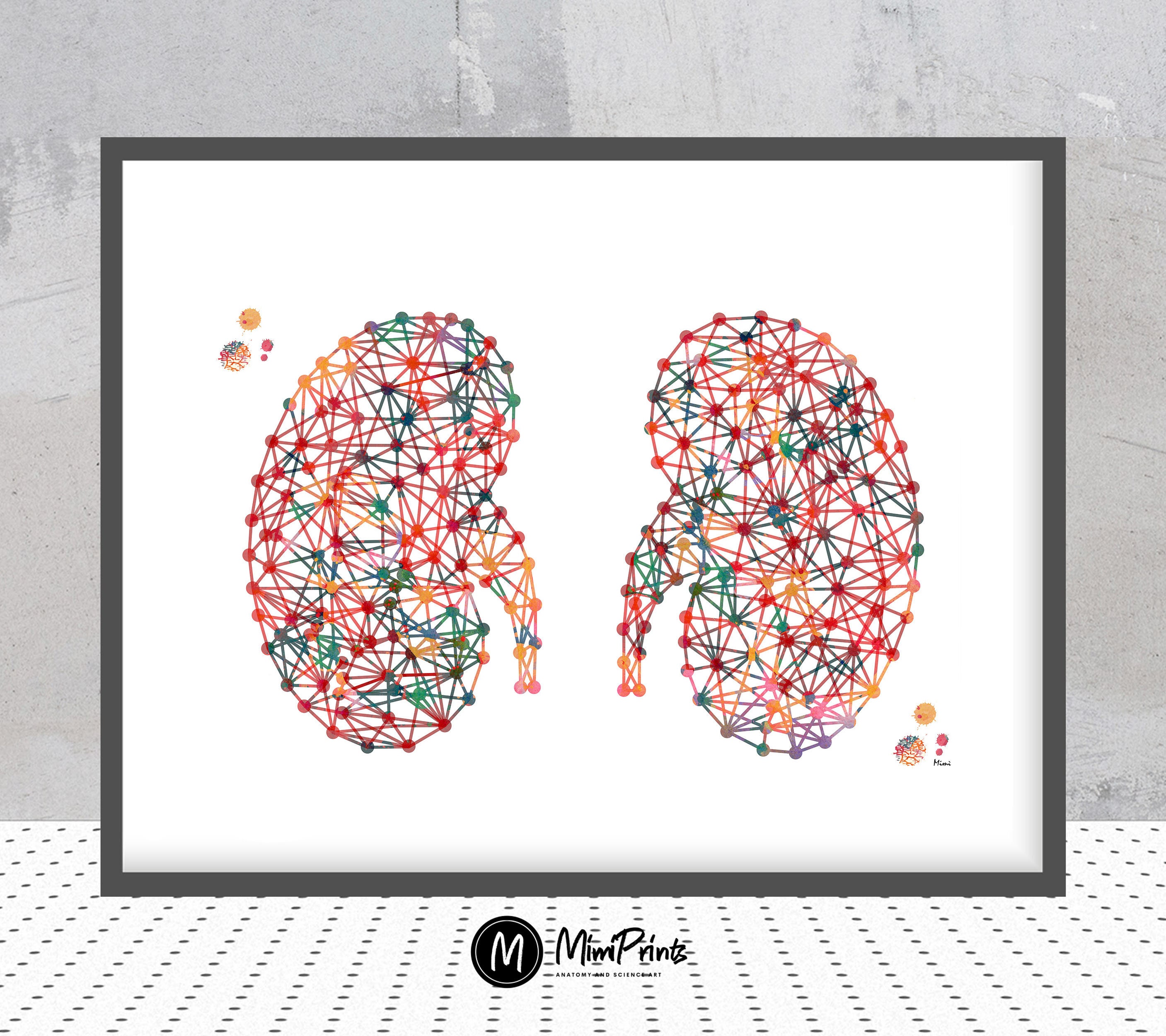 Kidneys Art Abstract Kidney Anatomy Art Print Medical Art - Etsy