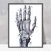 Hand Bones Anatomy Art Print Radiocarpal Joint Poster Wrist Joint ...