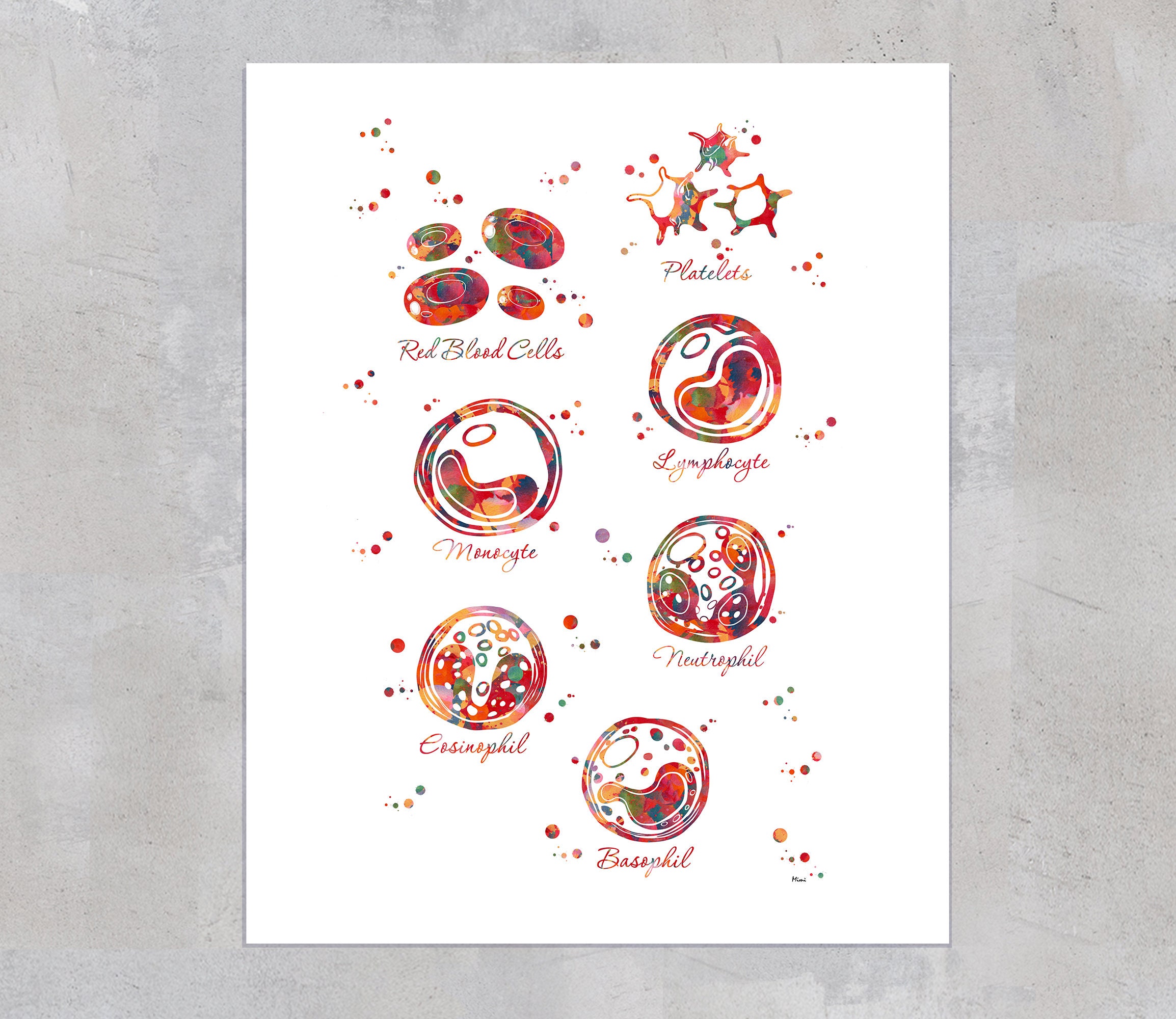 Blood Cells Anatomy Watercolor Print Hematology Poster Red - Etsy