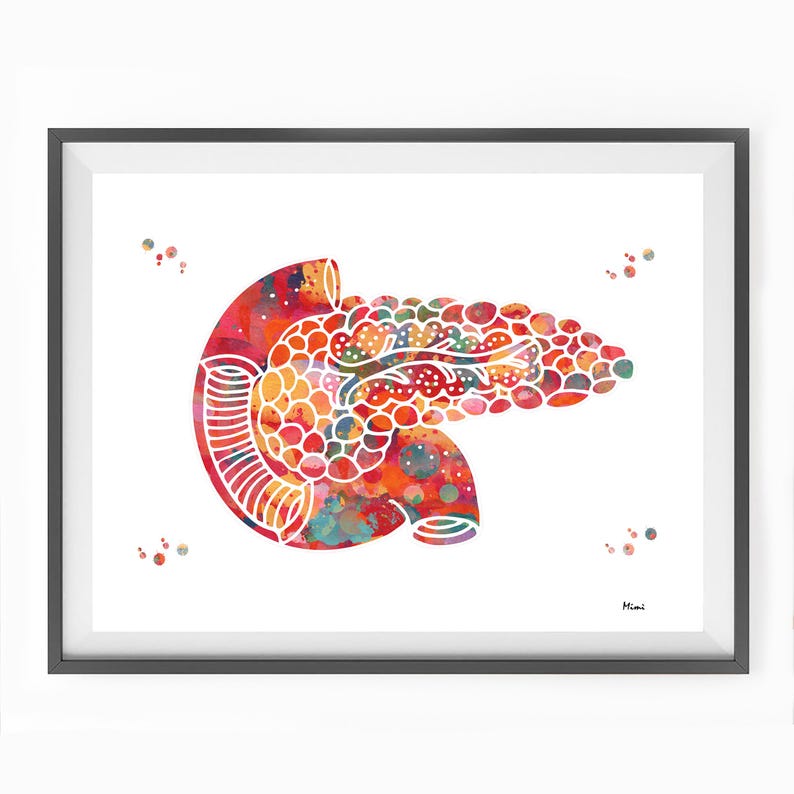 Pancreas Art Print | Abstract Anatomy, Endocrinology Art - Etsy