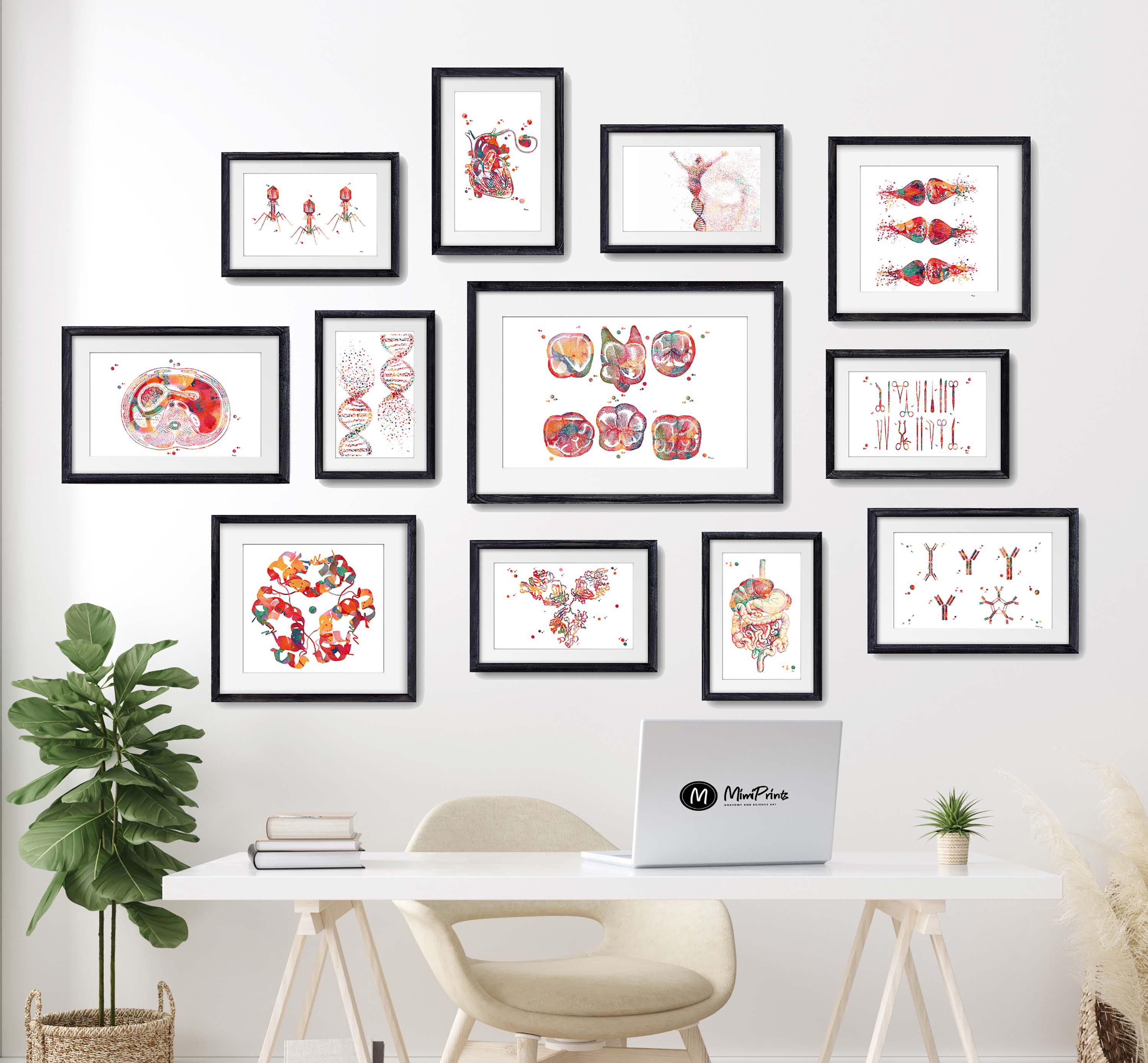 Teeth Anatomy Print Molar Surfaces Painting Orthodontics Watercolor ...