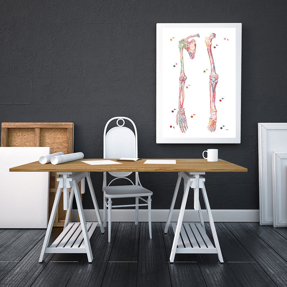 Upper Limbs and Leg Watercolor Print Anatomy Art Human Bones | Etsy