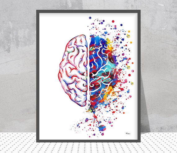 Left Right Brain Facebook Cover