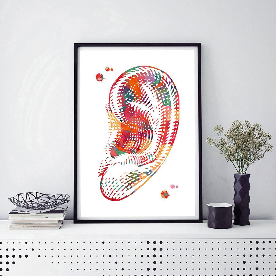 Audiology Art Print Ear Watercolor Anatomy Art Outer Ear - Etsy