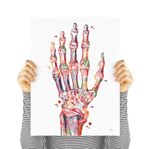 Hand Bones Anatomy Art Print Radiocarpal Joint Poster Wrist Joint ...
