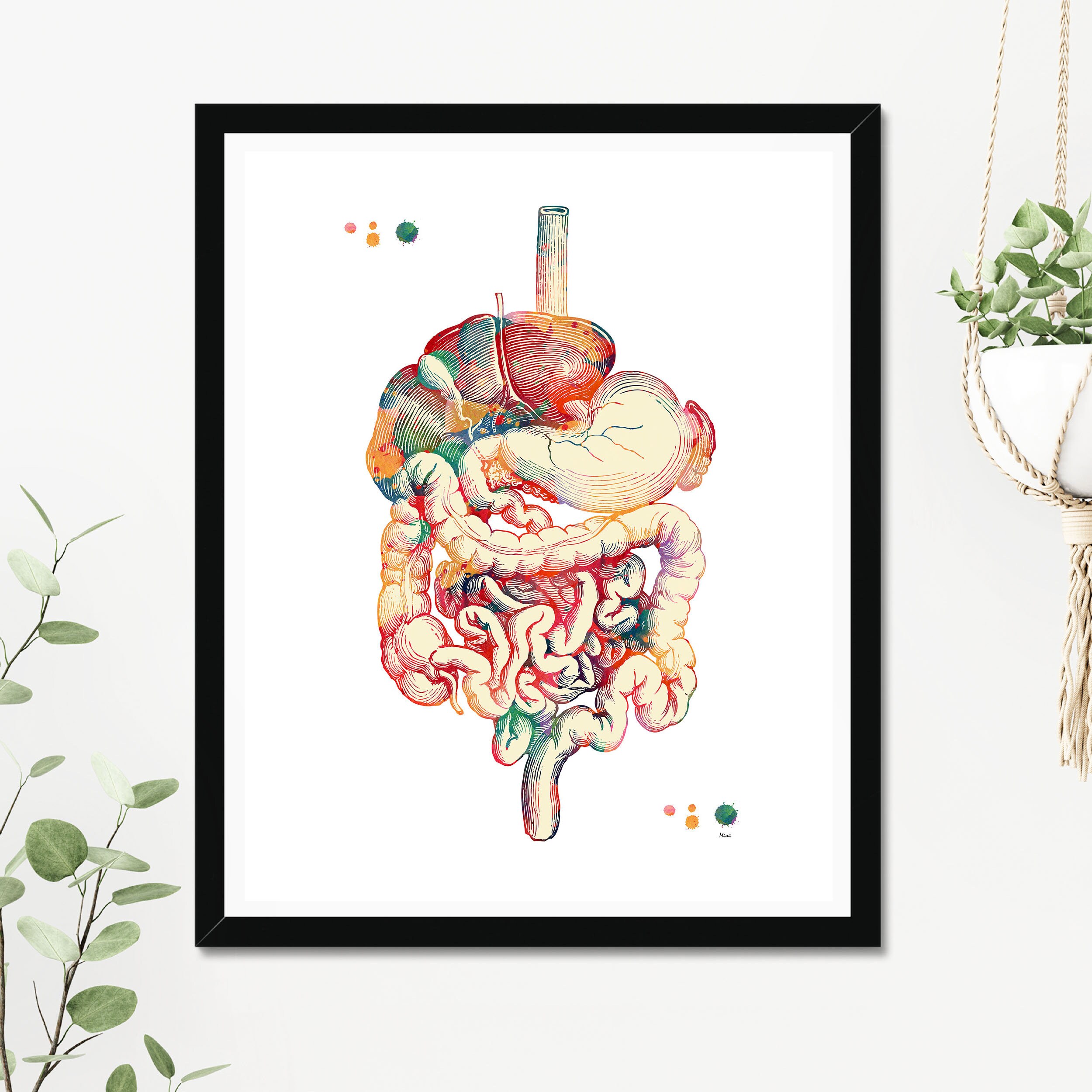 Digestive tract watercolor print human anatomy digestive system poster ...