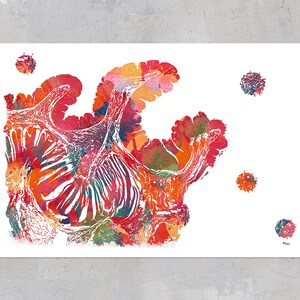 Colon Histology Watercolor Print Colon Mucosa Poster Microscopy View ...