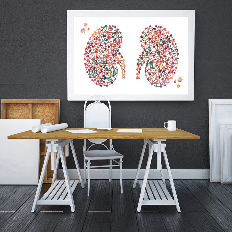 Kidneys Art Abstract Kidney Anatomy Art Print Medical Art - Etsy