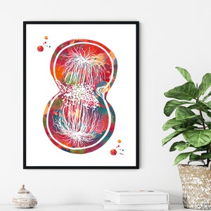 Cell Division Science Print Human Cell Structure Watercolor ...