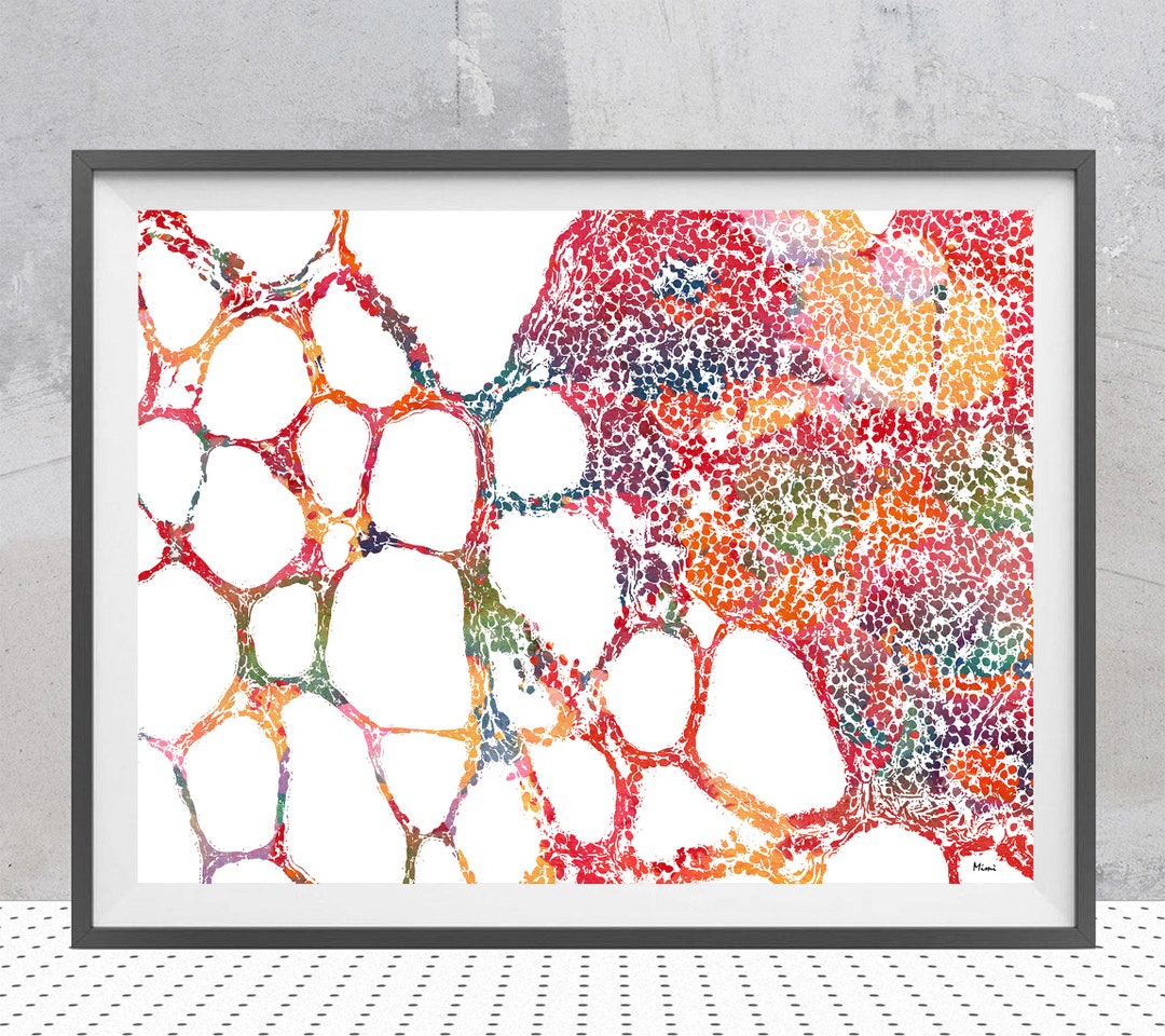 Thyroid Gland Tissue Print Histology Watercolor of the Human Thyroid ...