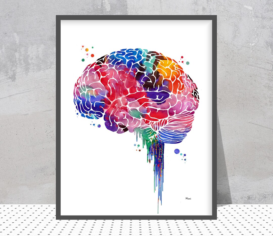Brain Watercolor Print, Cerebral Cortex Anatomy Art, Neurology Gift - Etsy