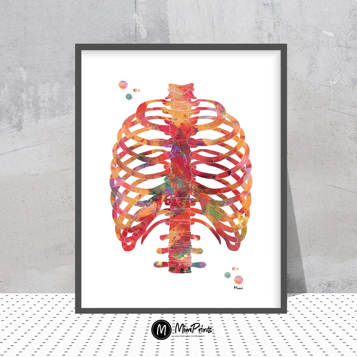 Rib Cage Watercolor Print | Anatomy Art, Thorax Poster - Etsy