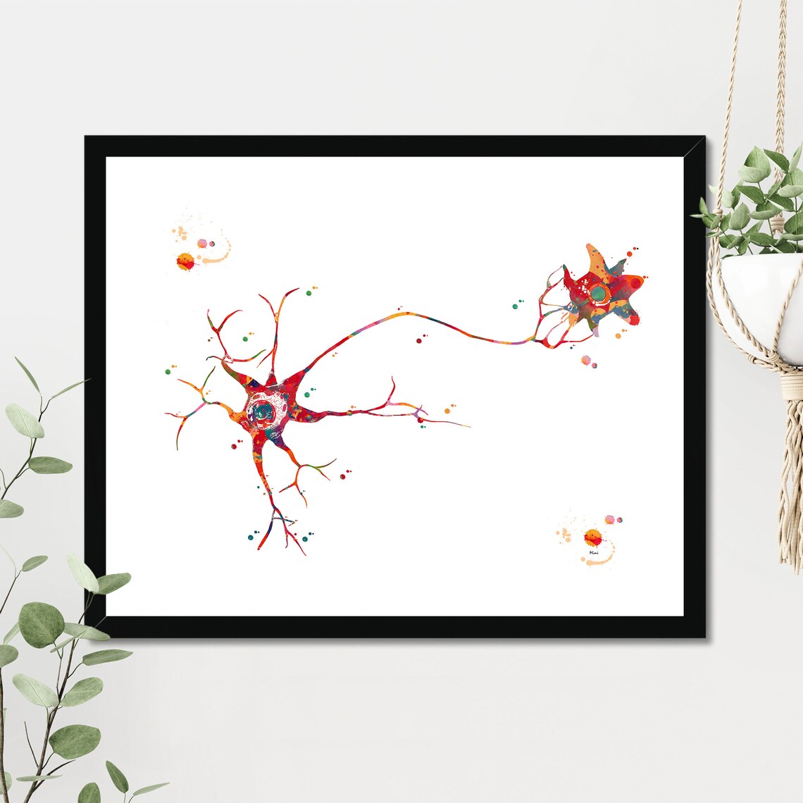 Multipolar Neuron Print Neuron With Axon and Dendrites - Etsy