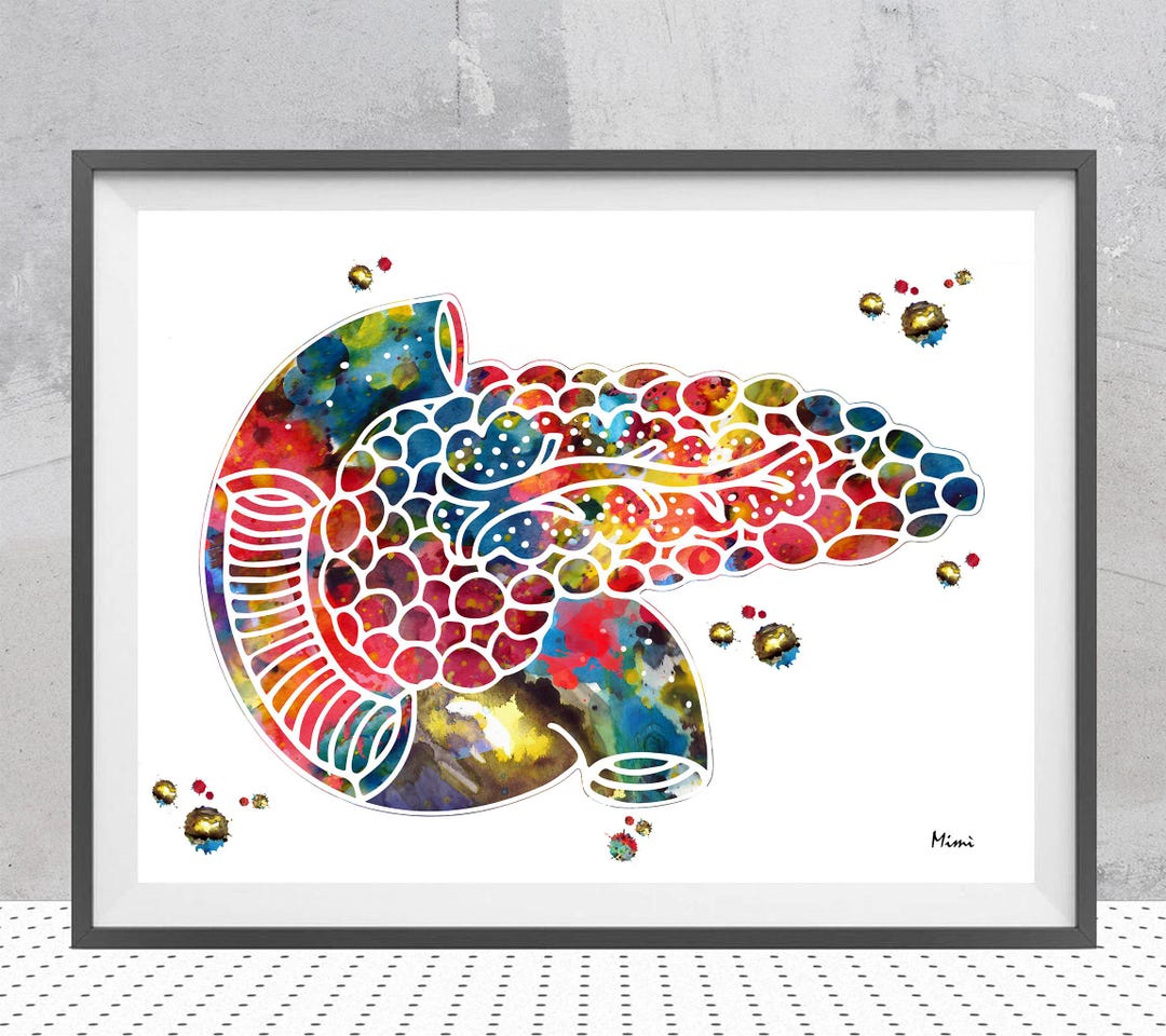 Pancreas Print Anatomy Watercolor Human Internal Organs Abstract ...