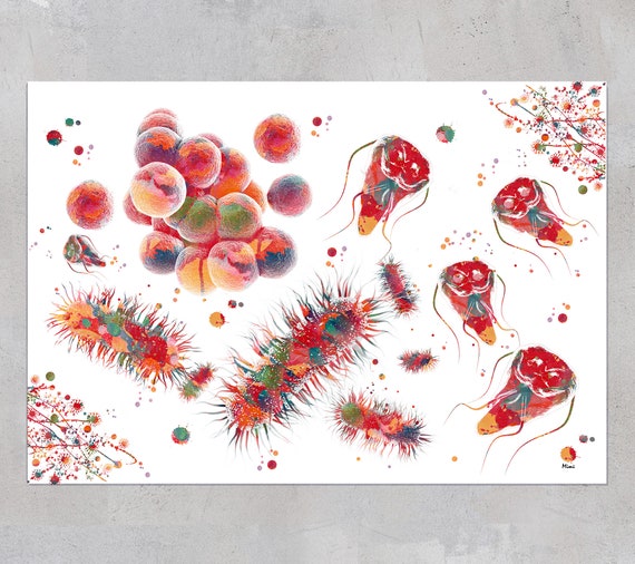 Bacteria Paintings