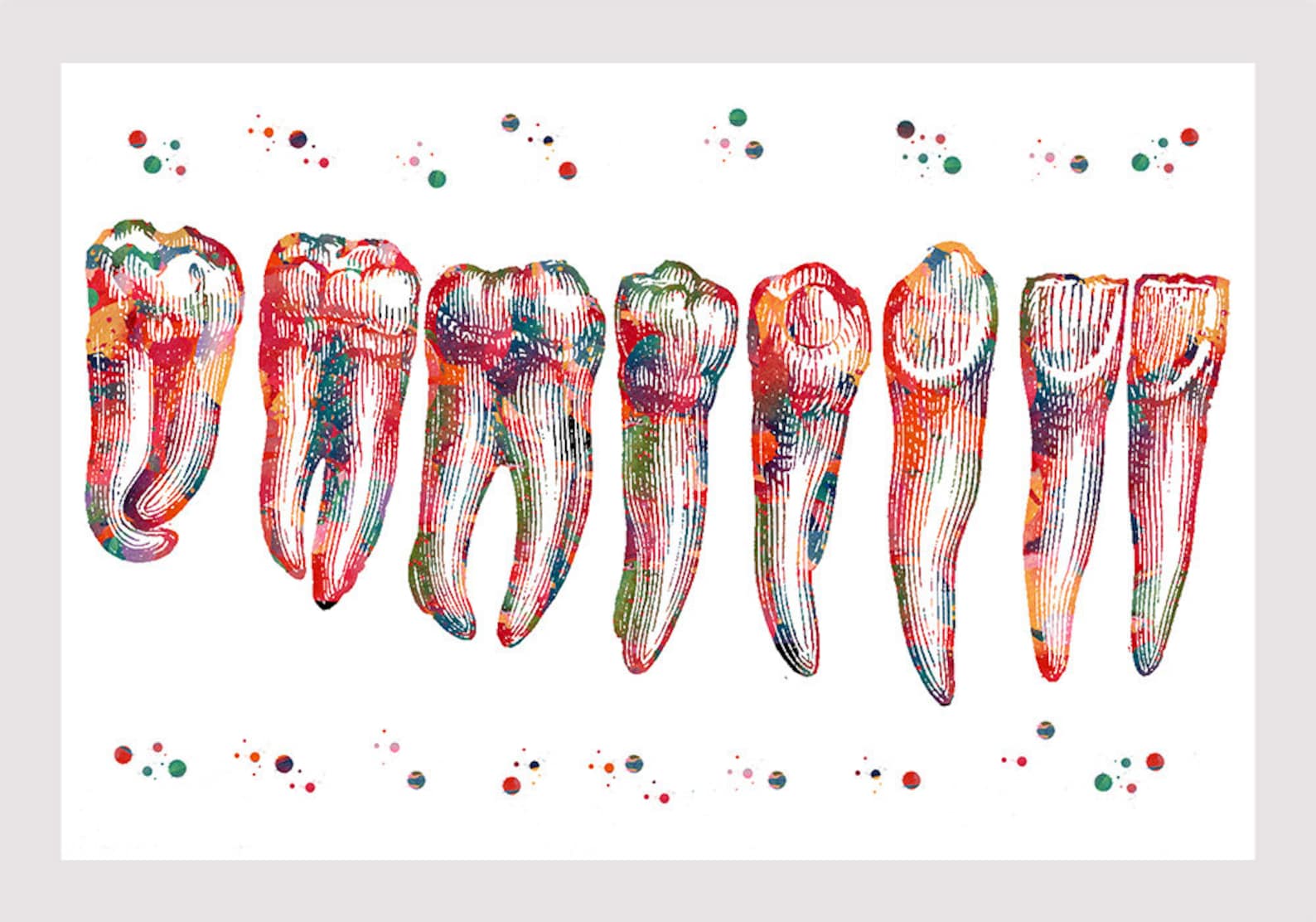 Dental Art Print Teeth Anatomy Art Teeth Row Watercolor | Etsy