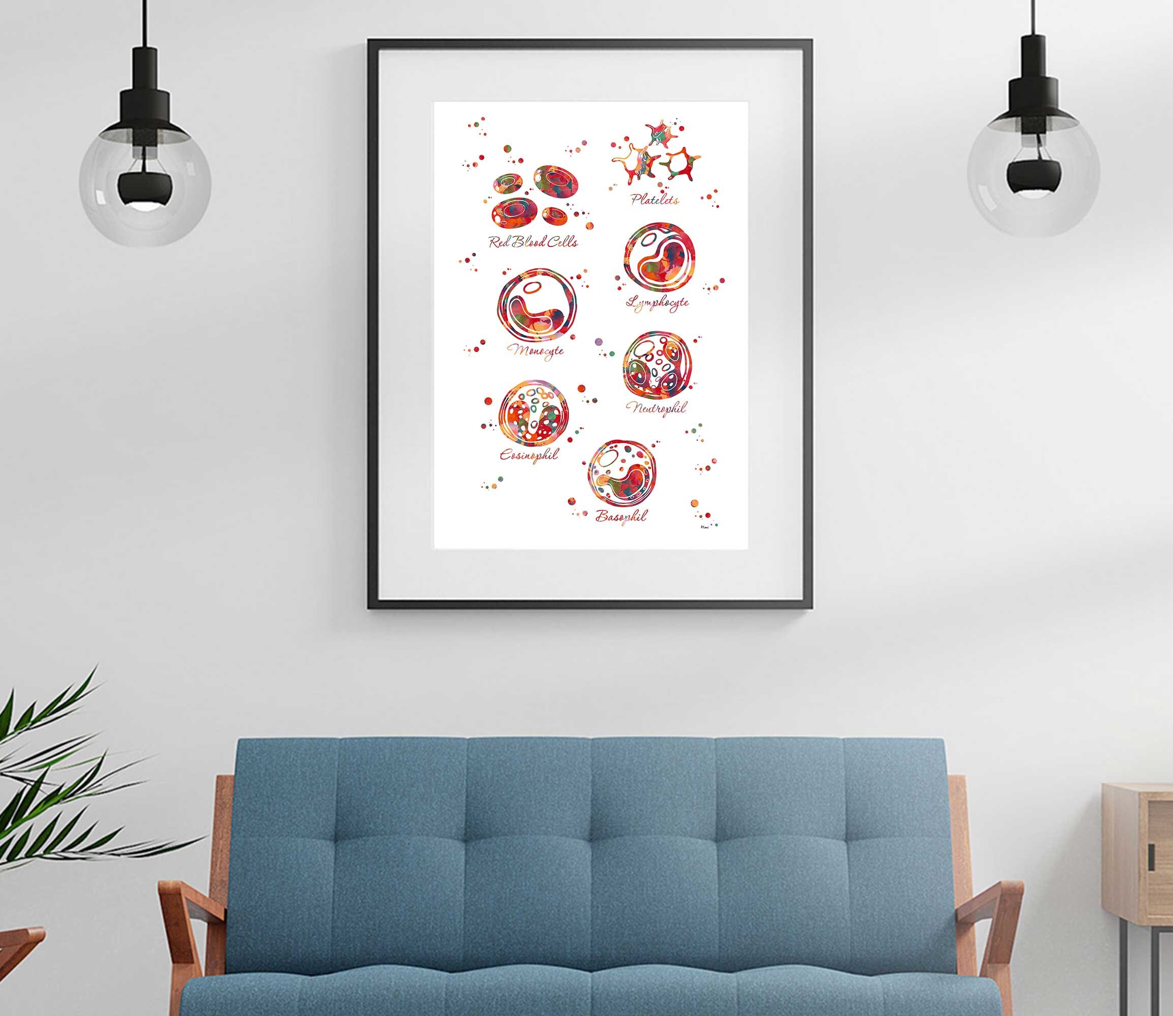 Blood Cells Anatomy Watercolor Print Hematology Poster Red - Etsy
