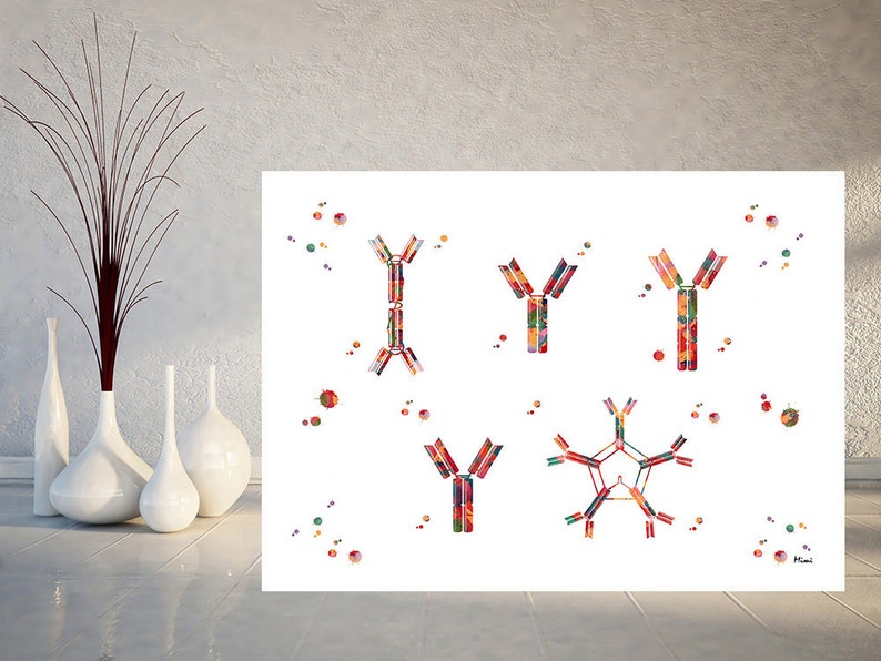Antibody Watercolor Print Antigens Antibody reaction print | Etsy