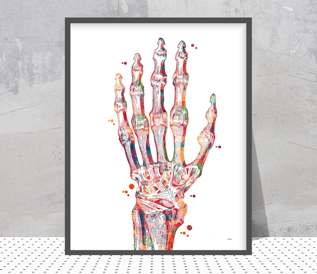 Hand Bones Anatomy Art Print Radiocarpal Joint Poster Wrist Joint ...