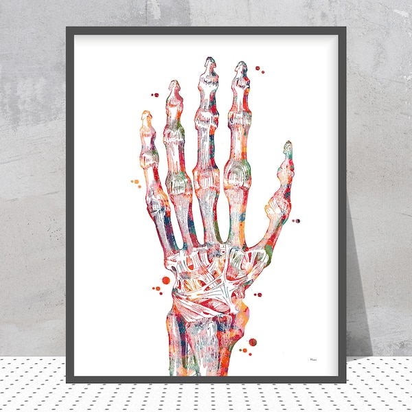 Anatomy of the Hand Poster - Etsy