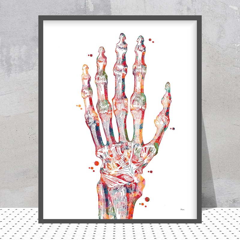Anatomy of the Hand Poster - Etsy
