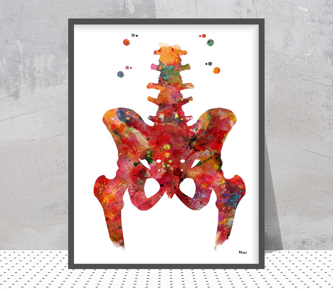 Human Hip Watercolor Print Hip and Lower Spine Poster Skeletal | Etsy