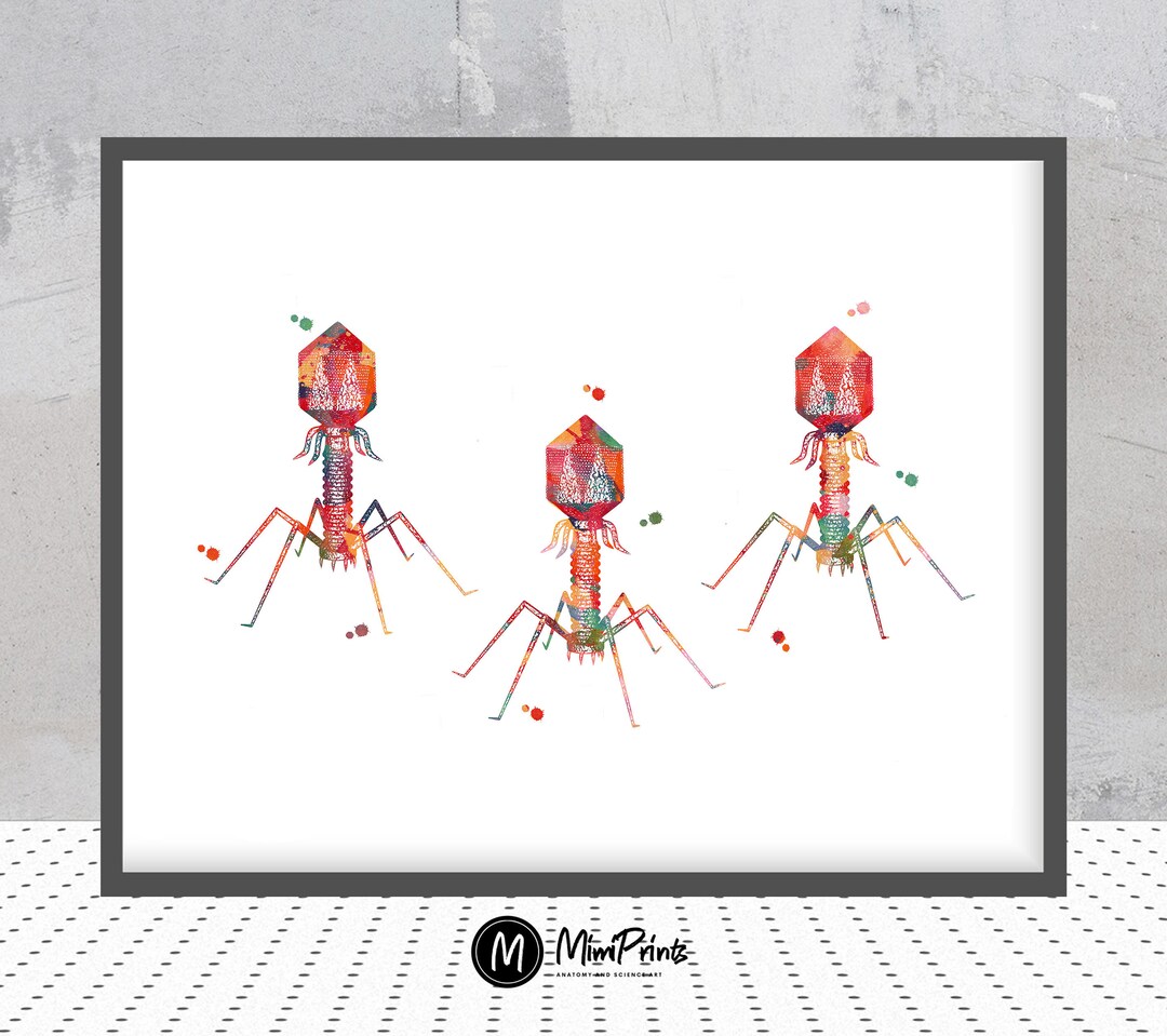 Bacteriophage Watercolor Print Science Art Poster Phage Poster - Etsy
