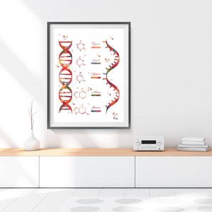 DNA and RNA Structure Science Art Print Rna Genetics Art Poster ...