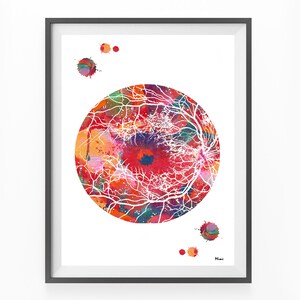 Retina Art Print Eye Anatomy Poster Optometry Illustration Optic Disc ...