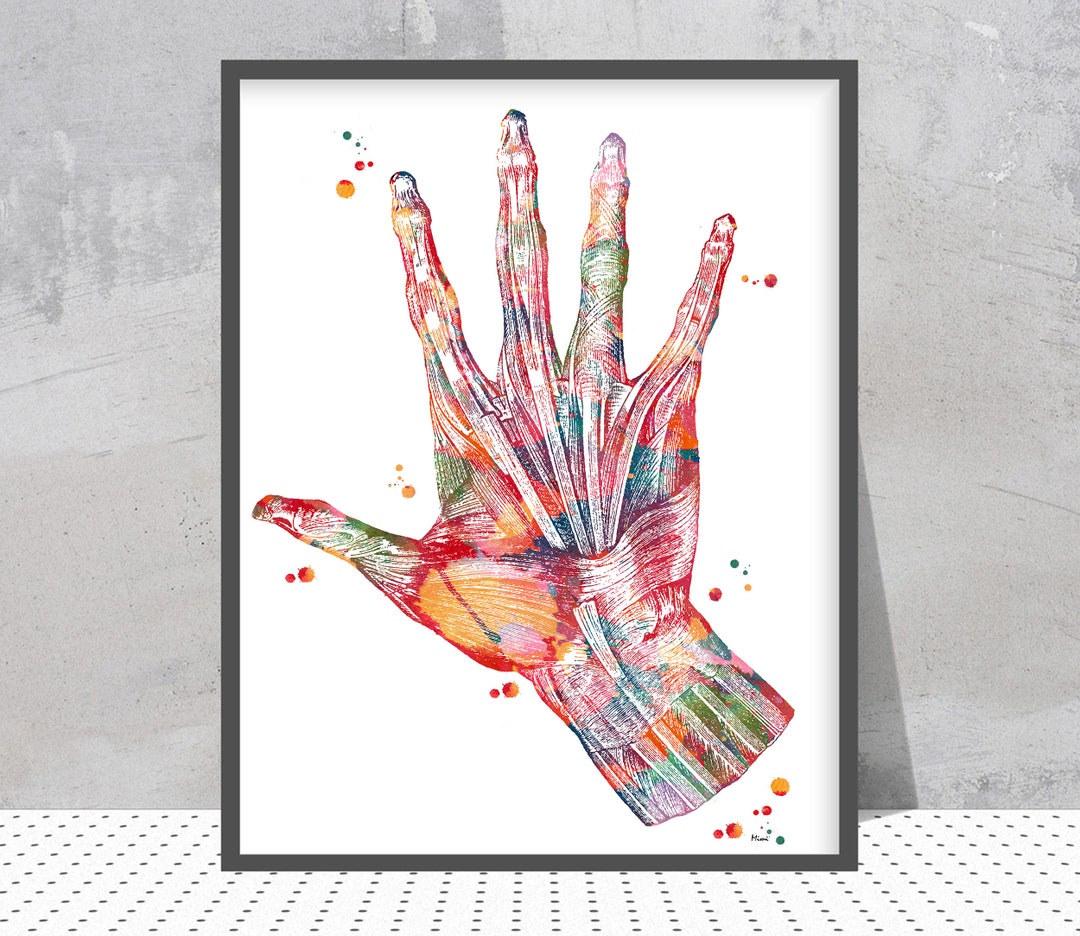 Hand Muscles Anatomy Watercolor Print | PT Art for Clinic Decor | Gift ...