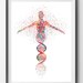 DNA Woman Science Art Print Abstract Symbol of Woman Made Out of Dna ...