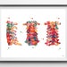 Cervical Spine Watercolor Print Anatomy Art Cervical Vertebrae - Etsy