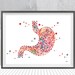 The Stomach Watercolor Print the Human Stomach Poster Medical Art ...