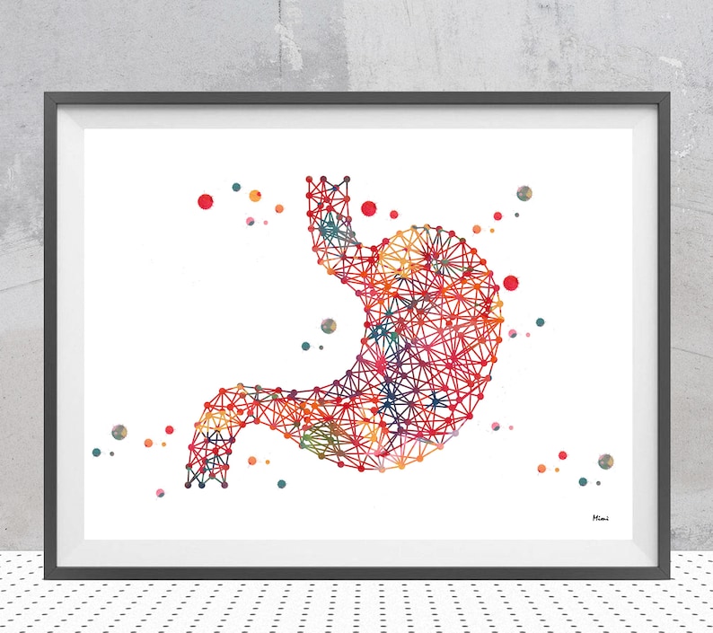 The Stomach Watercolor Print the Human Stomach Poster Medical - Etsy