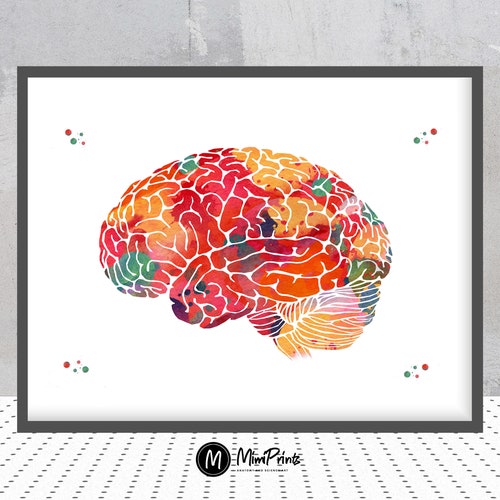 Human Brain Print Brain Bottom View Poster Neurology Art Brain - Etsy