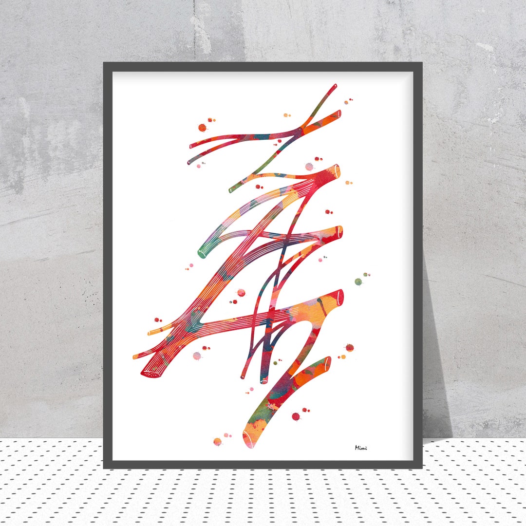 Lumbar Plexus Anatomy Print Lumbar Nerves Scheme Watercolor Lumbosacral ...